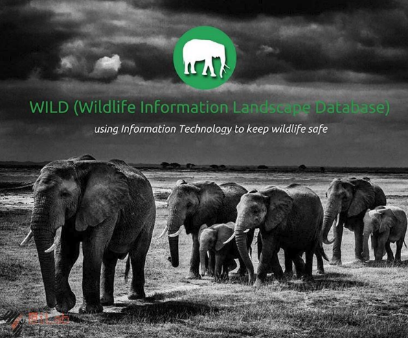 Mobile Apps Helping Conserve Africa Wildlife – Reporting Afrika